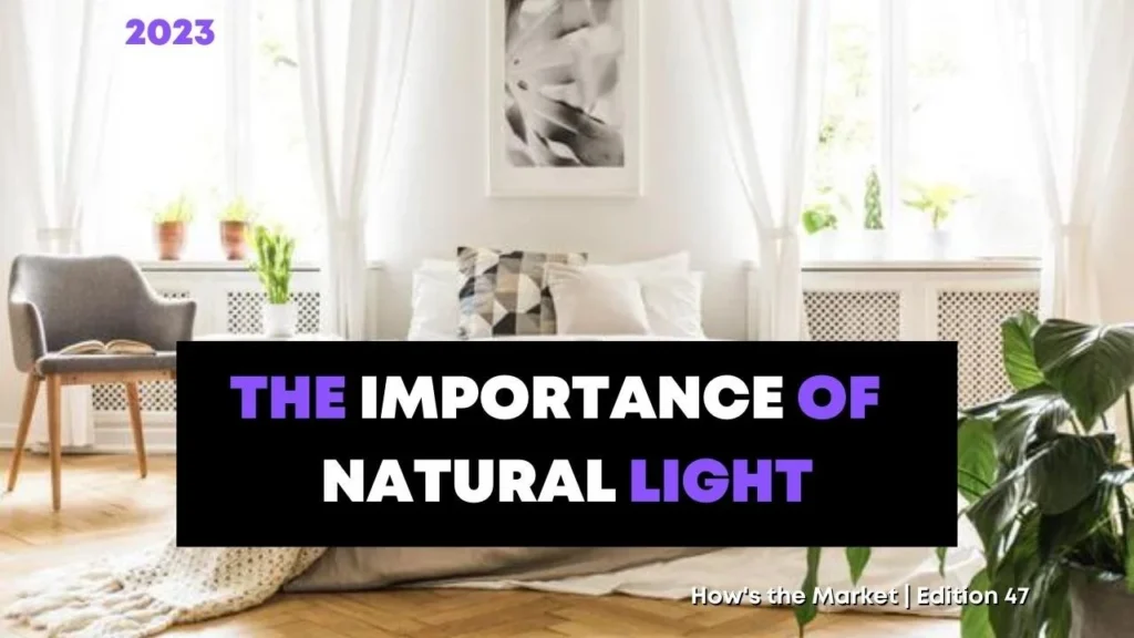 The Importance Of Northern Aspect & Natural Light | Tomii